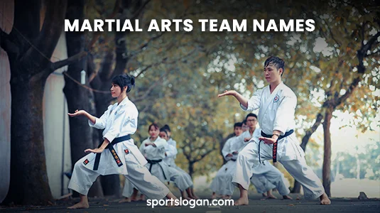140 Top Martial Arts Team Names | Unique Ideas and Inspiration