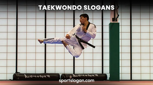 300 Taekwondo Slogans & Ideas for a Strong Club