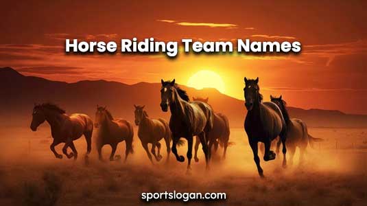 330 Best, Unique Horse Riding Team Names ( Tough, Cool)
