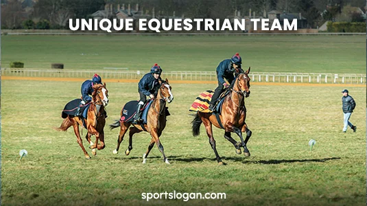 135 Unique Equestrian Team Names for Horse Riding Squad